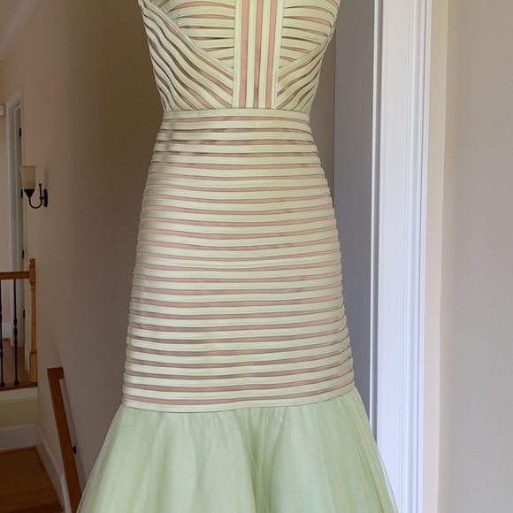 Terani Couture | Dresses | Terani Couture Sz 2 Celery Nude Gown Prom Pageant | Poshmark